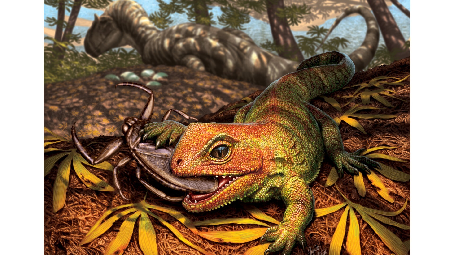 Researchers Discovered Dinosaur age Lizard Will 150 Million Year Truth Researchers Discovered Dinosaur age Lizard Will 150 Million Year Truth