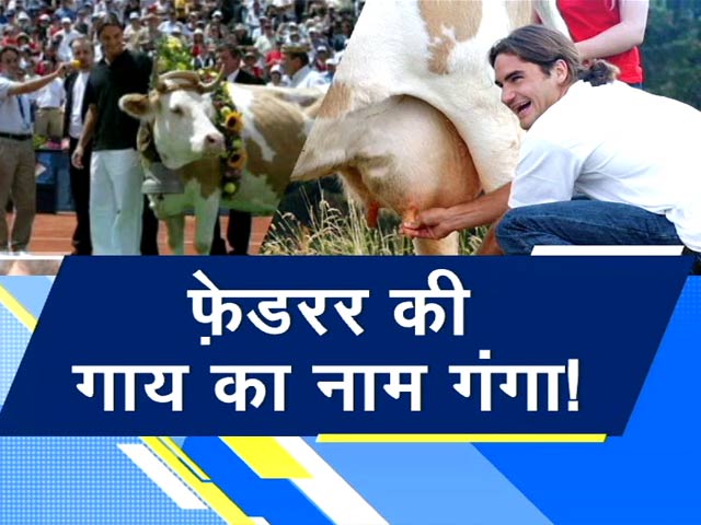 क्या गौ-भक्त हैं रोजर फेडरर और गाय का नाम है गंगा? जानिए क्या है सच्चाई