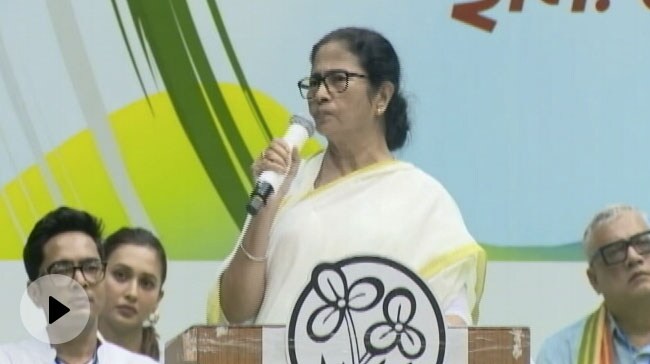 "Nitish Kumar, Hemant Soren, We're Together": Mamata Banerjee