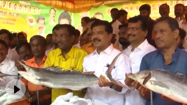 Tamil Nadu BJP VP, State Secretary Distribute Fish On PM Modis Birthday In Chennai