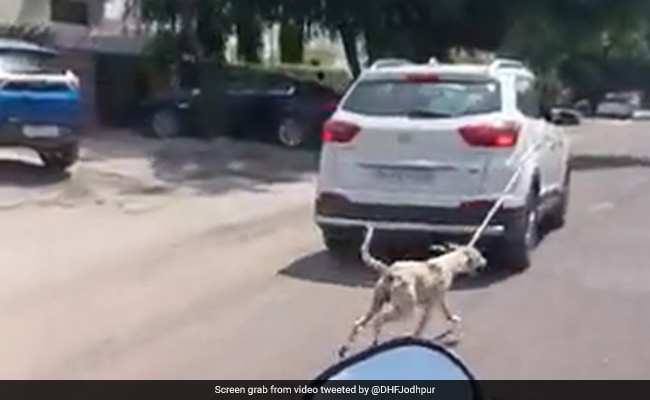 Video Shows Dog Tied To A Car Being Dragged In Jodhpur, Case Registered ...