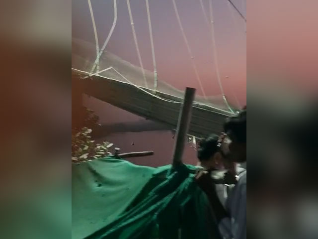Video: People Await Rescue After Cable Bridge Snaps In Gujarat
