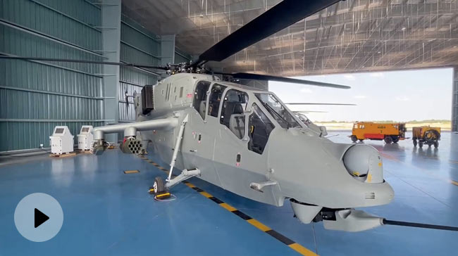 IAF's New Hunter-Killer Helicopters Can Shoot Down Chinese Drones