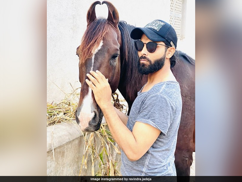 Ravindra Jadeja Poses With His "Crush" In Hilarious Insta Post. See Pics | Cricket News