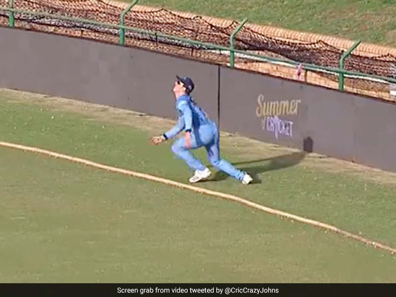 After Blistering Knock, Dewald Brevis Takes Stunning Catch On Boundary Rope. Watch | Cricket News