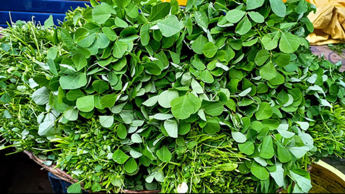 15 Best Methi Recipes | Easy Methi Recipes | Fenugreek Recipes - NDTV Food