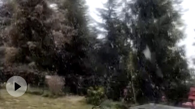 Himachal Town Receives Fresh Snowfall