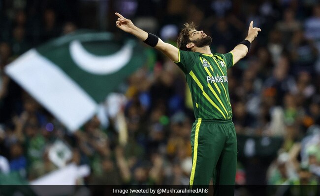 Shaheen Afridi Profile - Cricket Player, Pakistan | News, Photos, Stats ...