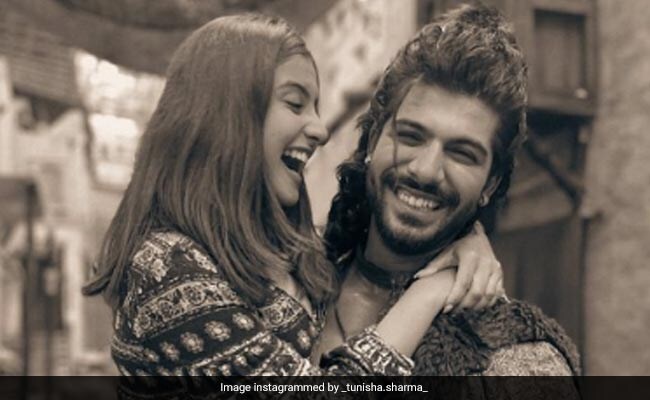 Alibaba Serial Lead Actor Sheezan Khan Arrested In Actress Tunisha ...