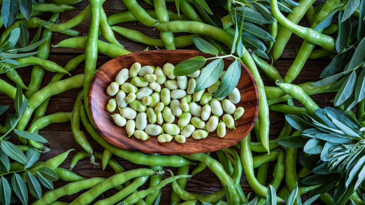 What Are Butter Beans? 5 Amazing Health Benefits Of This Unique Legume ...