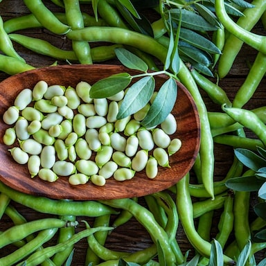 snap beans benefits