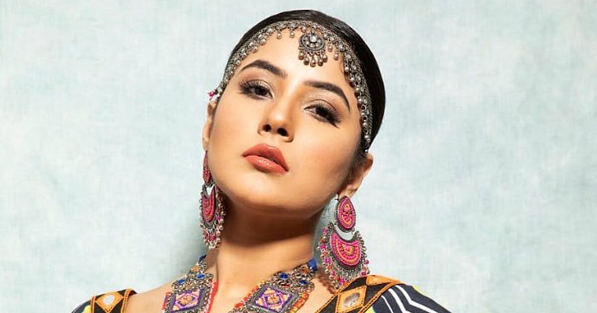 शहनाज़ गिल का दिलकश अंदाज़