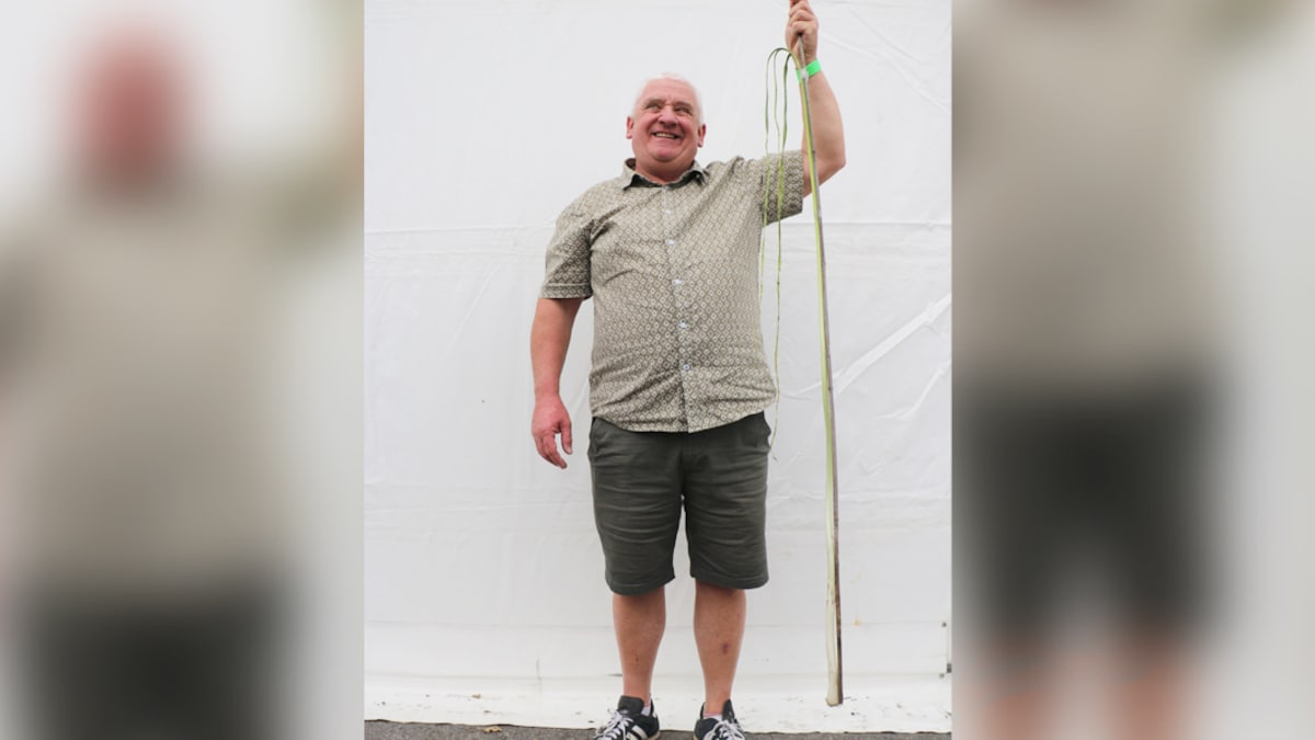 Wait, What? This Leek From Britain Is The Worlds Longest At 56.3 Inches ...