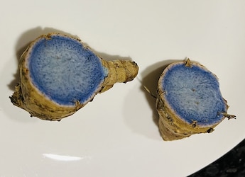 Blue Ginger | Know All About Blue Ginger at NDTV Food