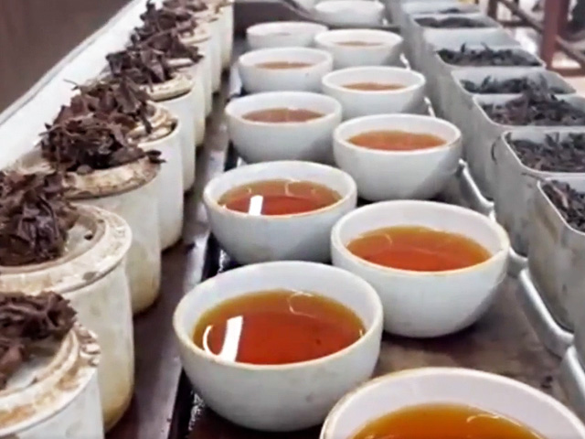 Kolkata's Nilhat House Is All About Tea