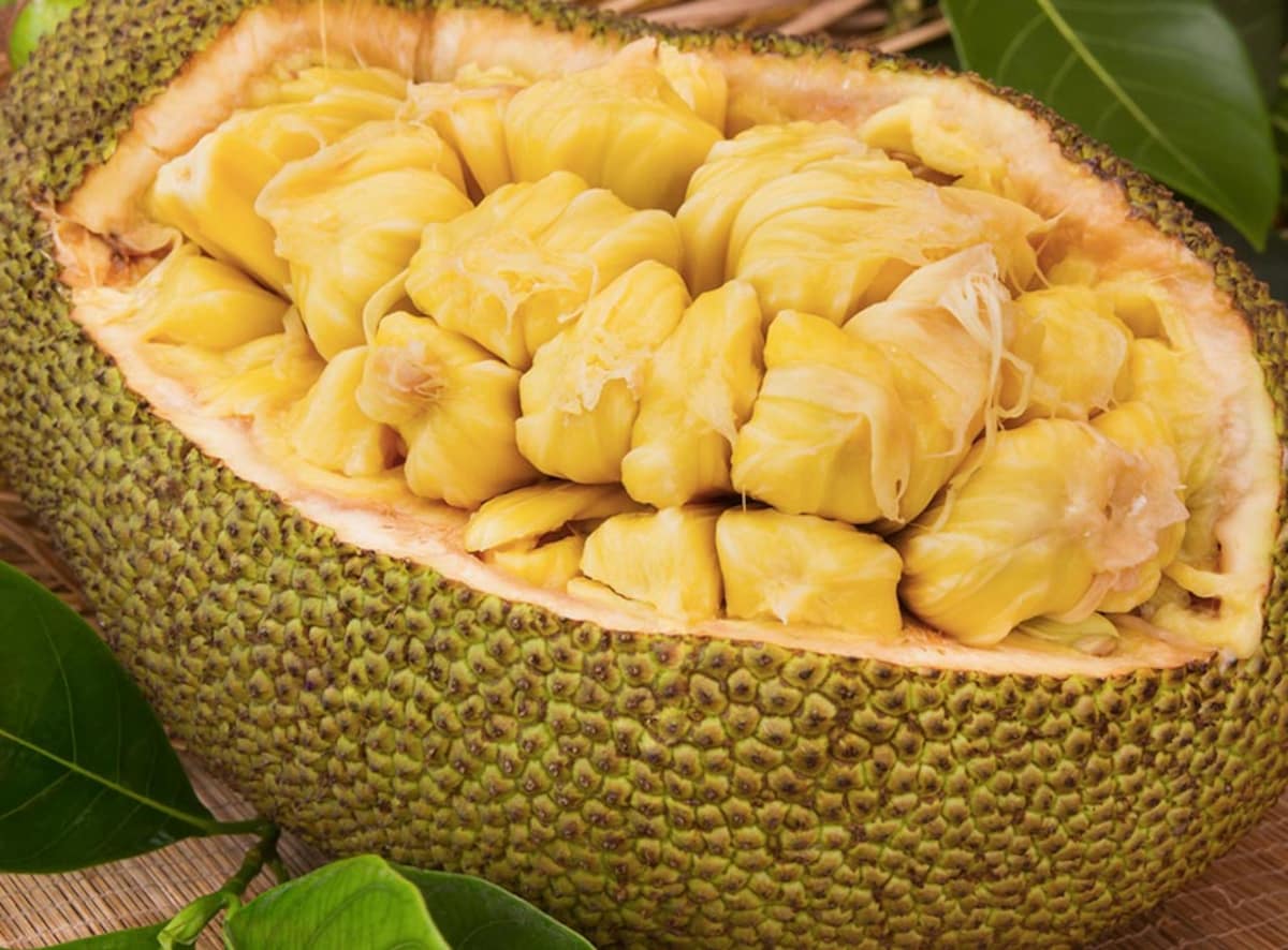 how to make use of jackfruit