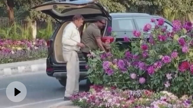 Gurugram Police Arrested 'pot Thief' For Stealing Flower Pots Decorated ...