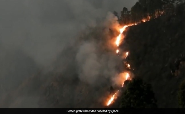 Video: Massive Forest Fire In Tamil Nadu's Kodaikanal Hills