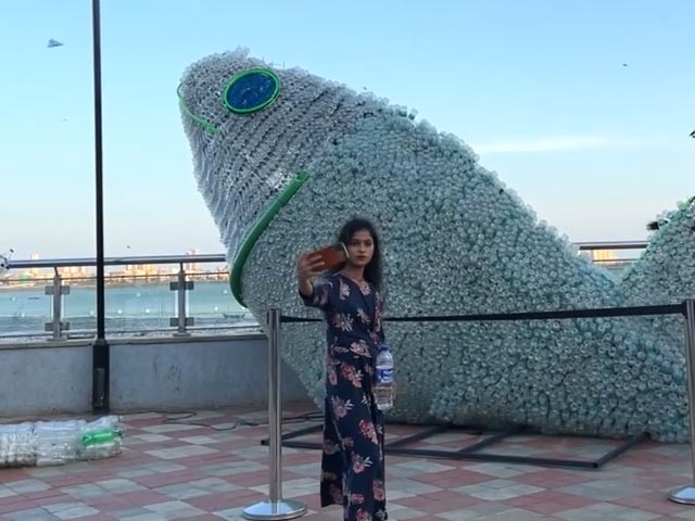 A Fish Installation Made From Plastic Bottles Has Become A Selfie Point ...