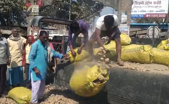 Video: Bihar Farmers Dump Hundreds Of Potato Sacks On Road, Demand This
