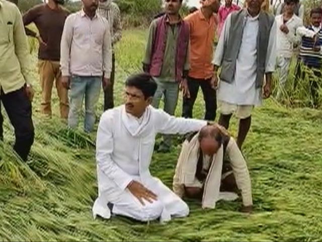 Untimely Rain Causes Massive Crop Damage In Madhya Pradesh