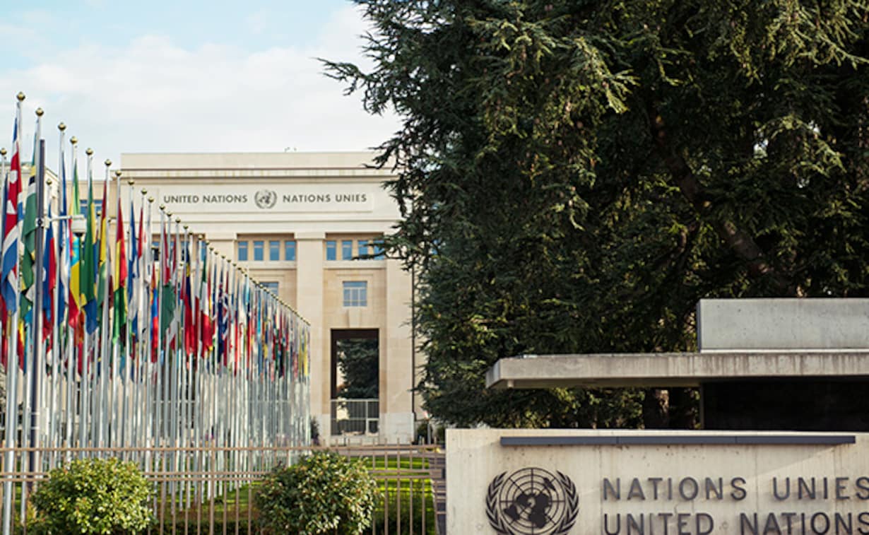 Applications Invited For Appointment Of United Nations Staff Member ...