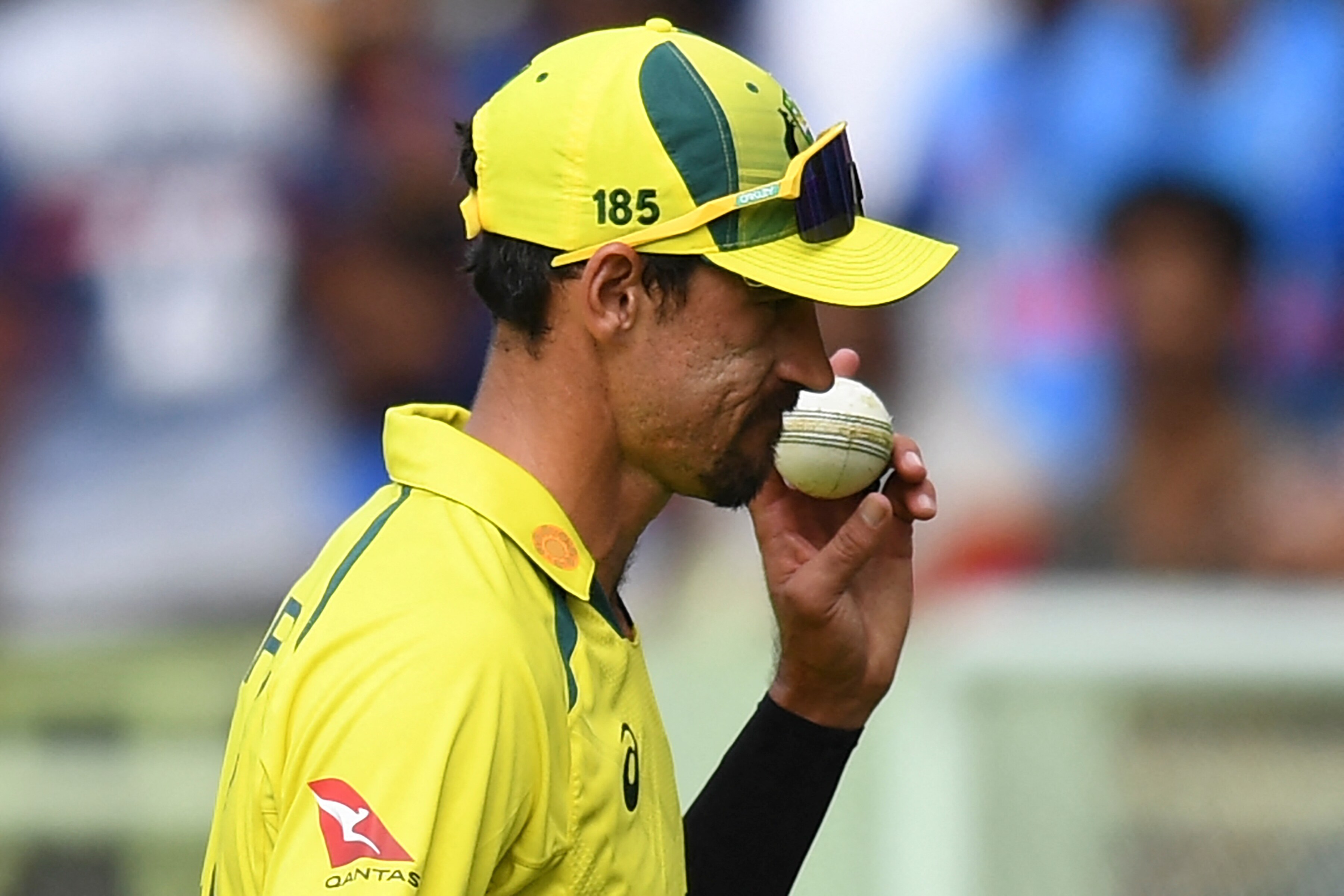 Mitchell Starc Profile - Cricket Player, Australia | News, Photos ...