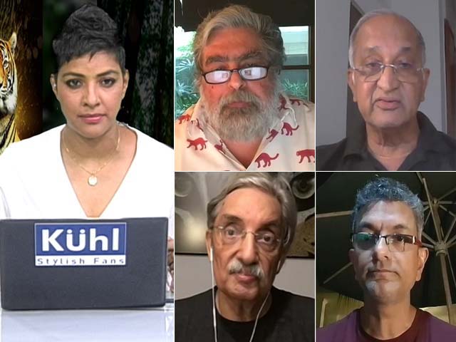 50 Years Of Project Tiger: Looking Back And Looking Ahead