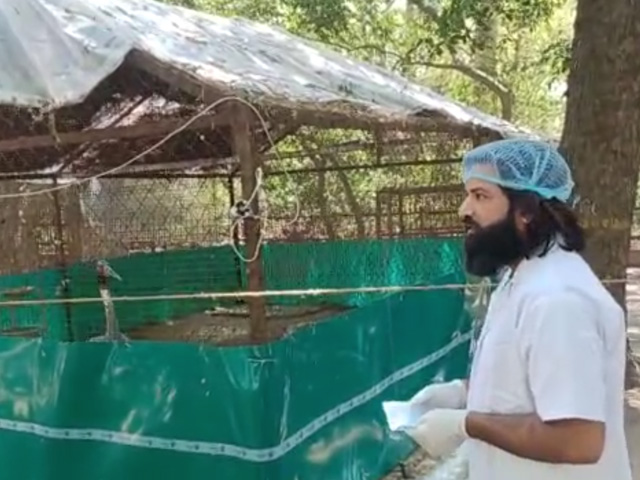 Sarus Crane's Unmistakable Joy After Seeing Man Who Rescued Him