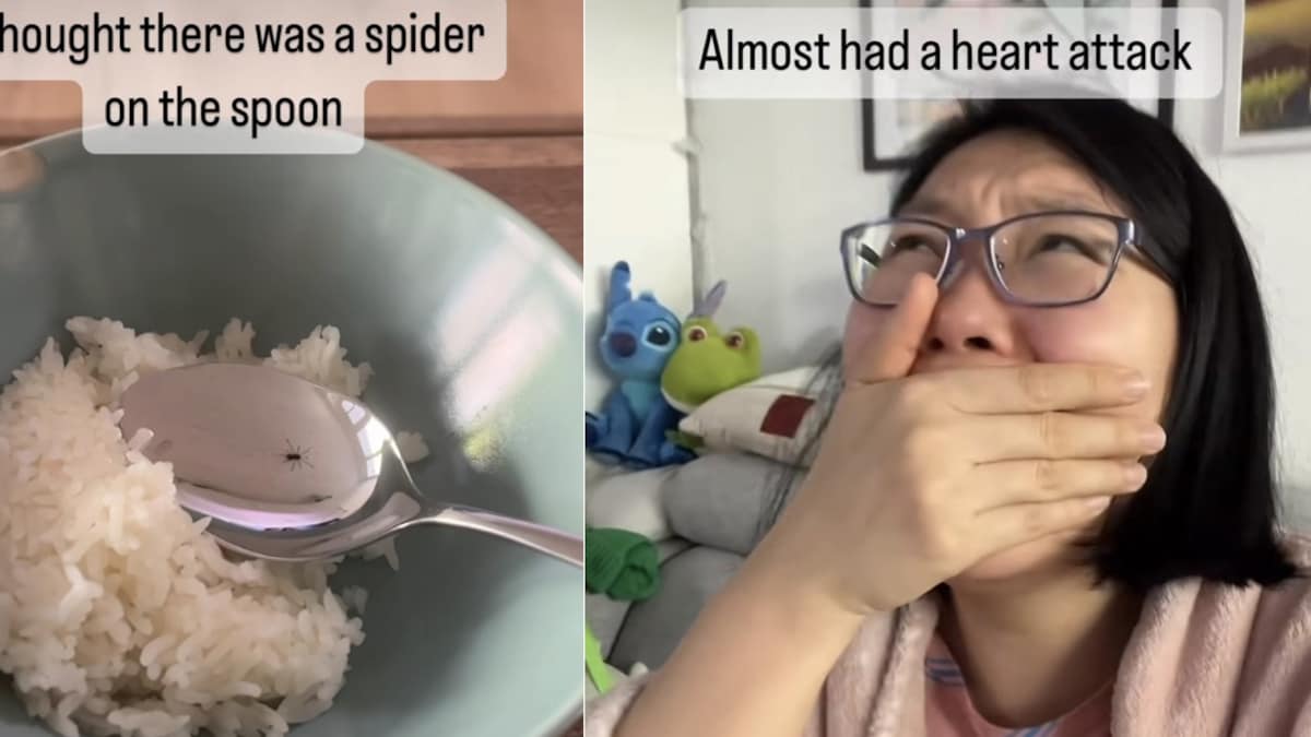 Womans Spider Spoon Scare Has Gone Viral, What Happens Next Will Leave ...