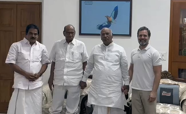Sharad Pawar Meets Rahul Gandhi, Congress Chief Over Opposition Unity
