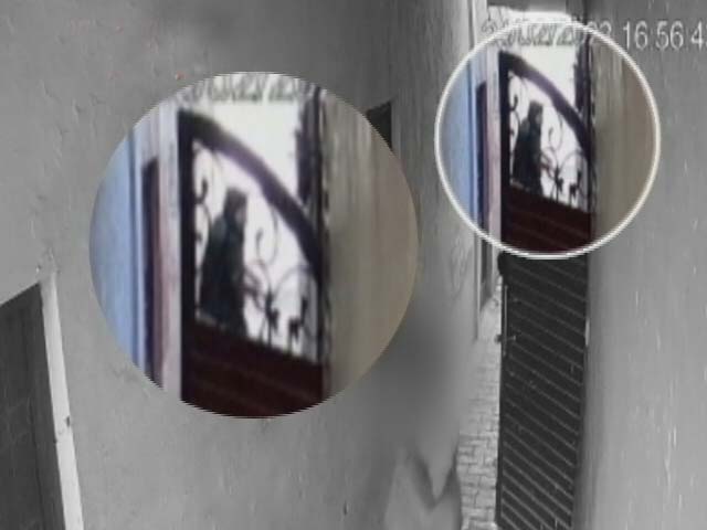 Jailed Gangster Atiq Ahmed's Son Killed In Encounter By UP Police