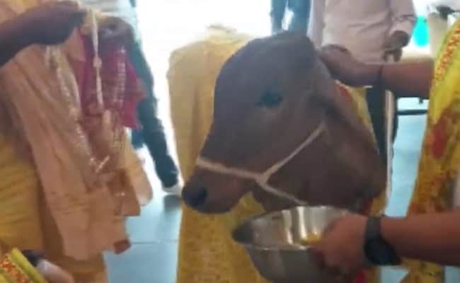 Bahula Chouth 2023 Me Kab Hai Vrat Pujan Vidhi And Bhog Recipe - Bahula ...