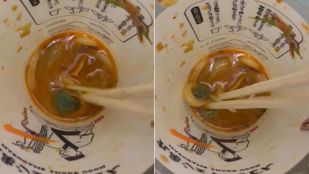 Shocking! Japanese Man Finds Live Frog In His Takeaway Udon Cup. Video Goes Viral - NDTV Food
