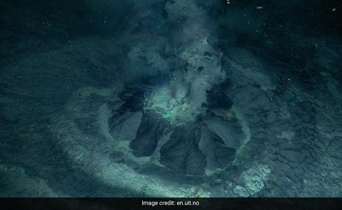 Hidden Mud Volcano Under The Arctic Ocean Full Of Life, Say Scientists