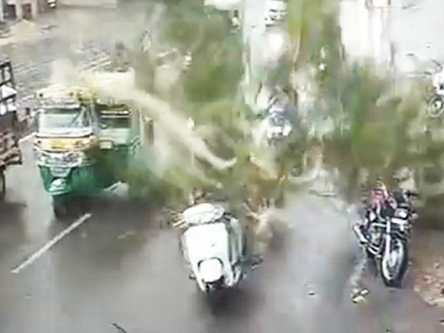 Video: Tree Falls On 3 Men Riding Scooter In Rajasthan