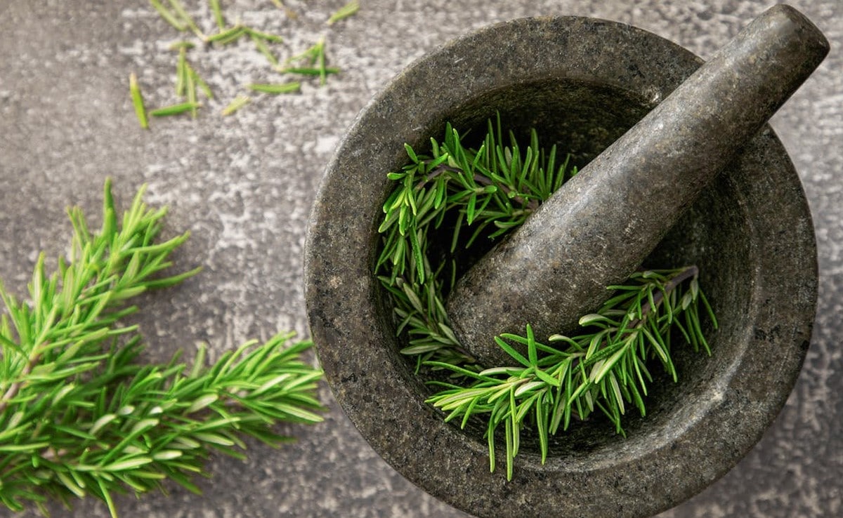 9 Amazing Benefits Of Adding Rosemary To Your Diet