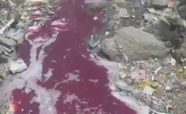 "Red, Green Or Black": UP's Hindon River Turns Toxic Due To Pollution