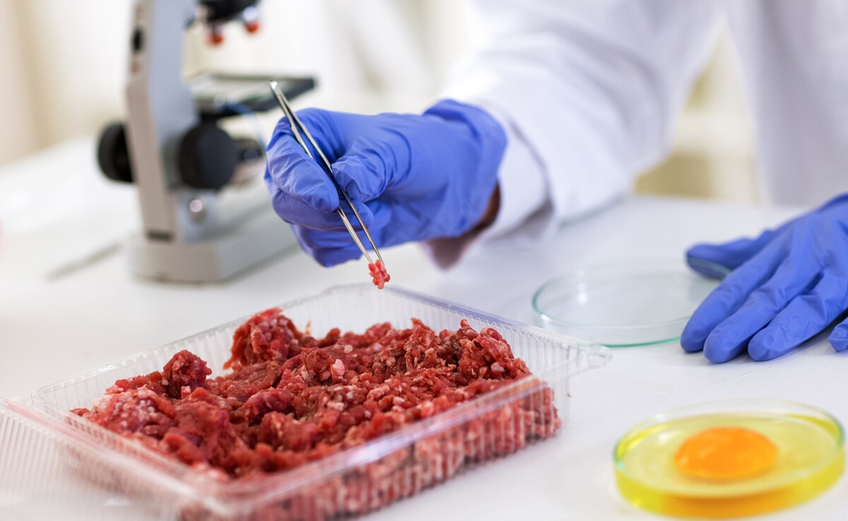 Lab Grown Meat | Know All About Lab Grown Meat at NDTV Food