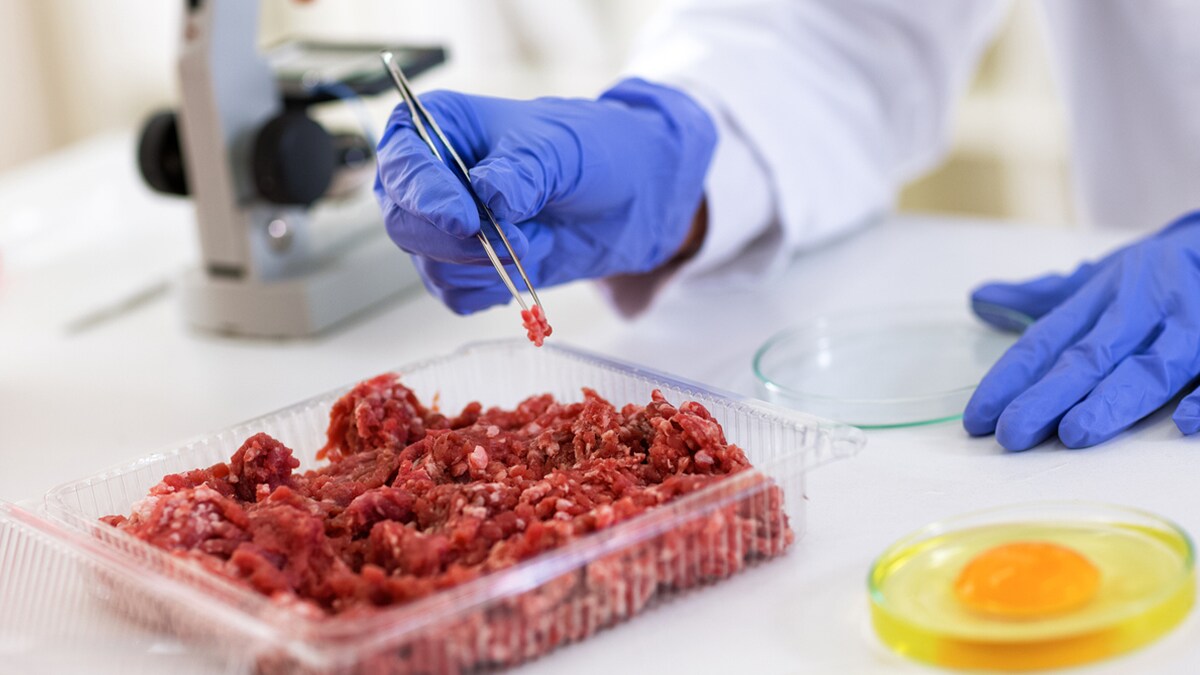 US Approves Lab-Grown Chicken To Be Sold In Markets, Twitter Reacts ...