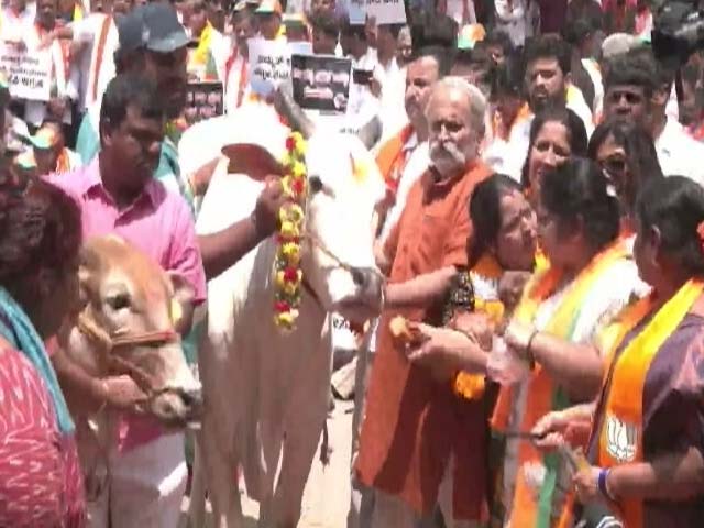 On Karnataka Minister's Cow Slaughter Remark, Siddaramaiah's Response