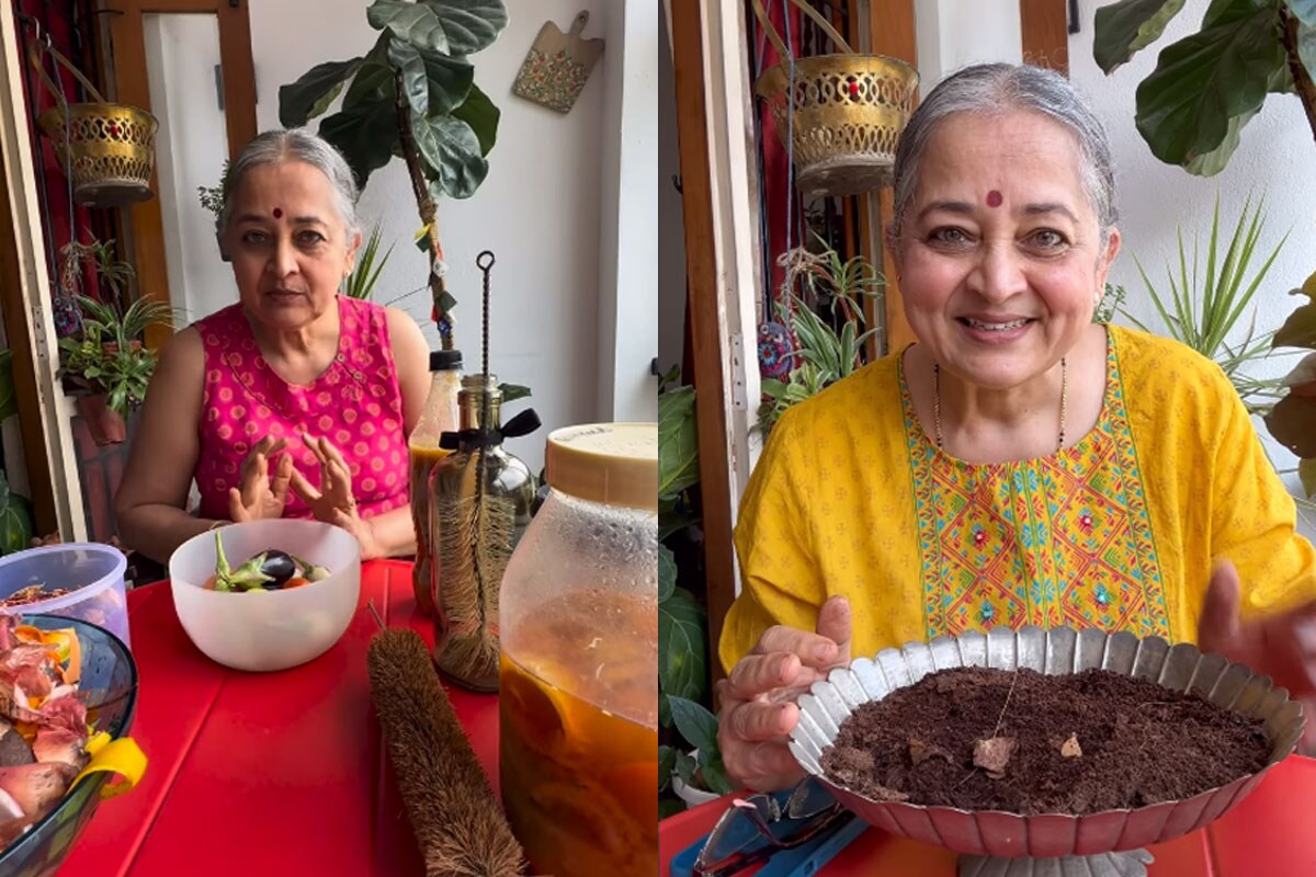 Vani Murthy's Reel: Growing Sustainable and Self-Grown Scrubbers ...