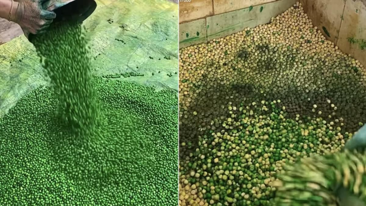 Watch: Viral Video Shows How Salted Green Matar Is Made; Internet Is ...