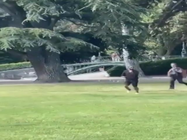 4 Children Stabbed In France, Video Shows Suspect Trying To Run