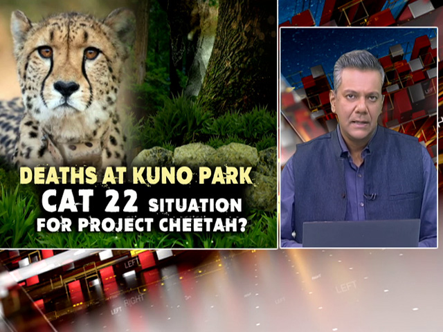 Deaths At Kuno National Park: Catch-22 Situation For Project Cheetah?