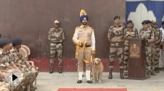 3 Dogs Retired From CISF After 9 Years Of Service