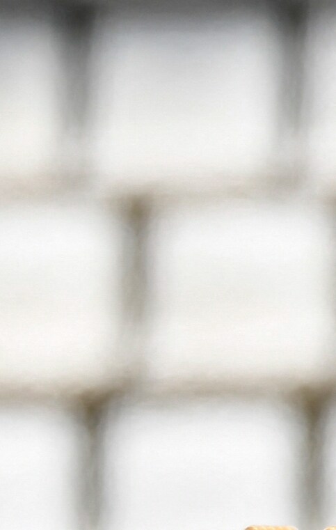 Best Bowling Performance in T20,New Zealand vs India, 2022/23- Cricket ...