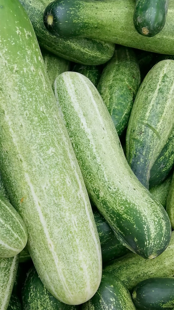 Indian Recipes, Healthy Recipes, Vegetarian Recipes, Indian Food ...