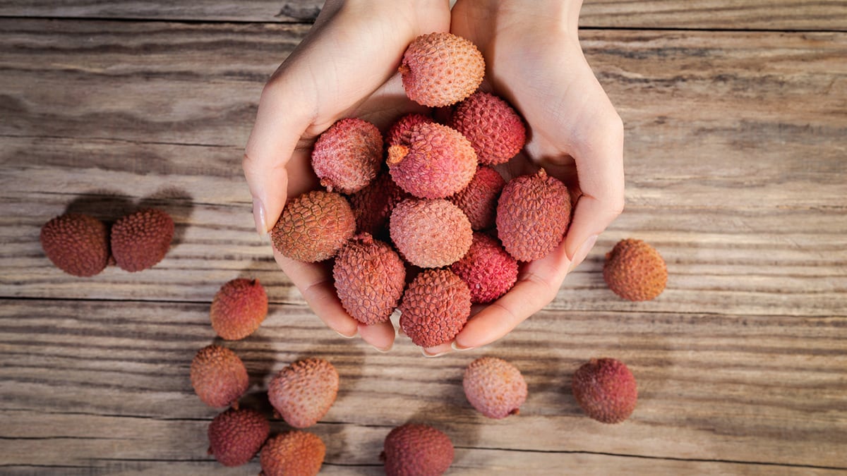 Rainy Season Got You Craving Litchis? Heres How To Spot the Perfect ...