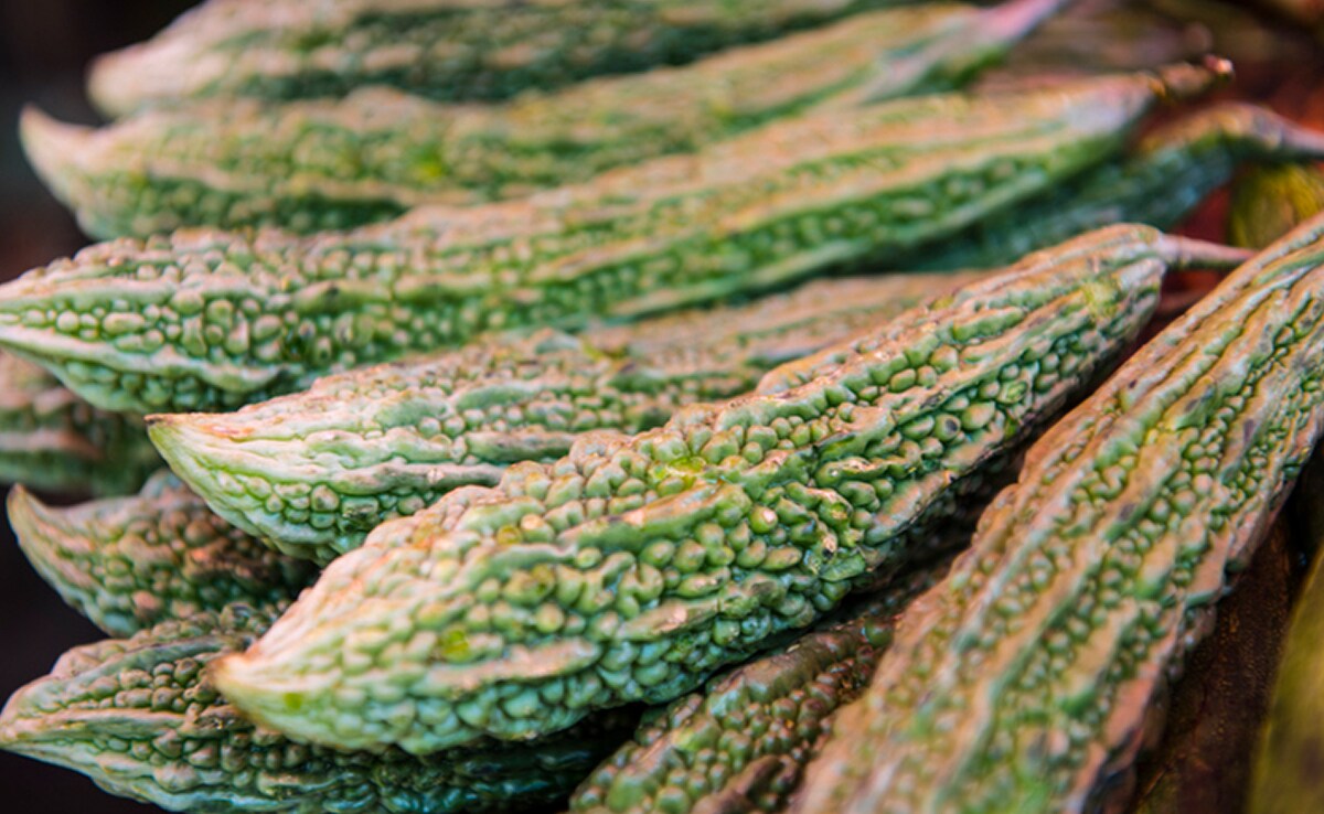 Bitter Gourd Recipes | Know All About Bitter Gourd Recipes at NDTV Food